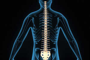 10 Fun Human Spine Facts