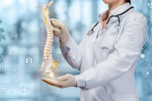 10 Fun Facts About the Spine